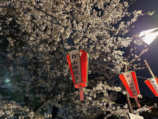 Sakura Season Has Come - Soei Intellectual Property Law